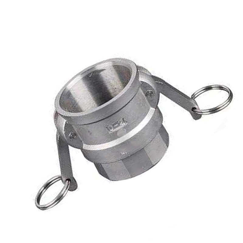 CF8 / CF8M Stainless Steel Quick Connect Type D Specification