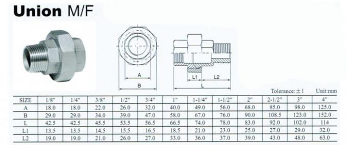 Stainless Steel Conical Seal Male and Female BSP Thread Unions