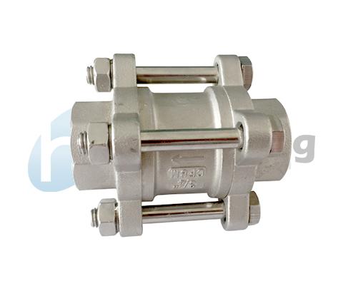 3pc 316 Stainless Steel Check Valve DIN 2999 threaded 1000 PSI